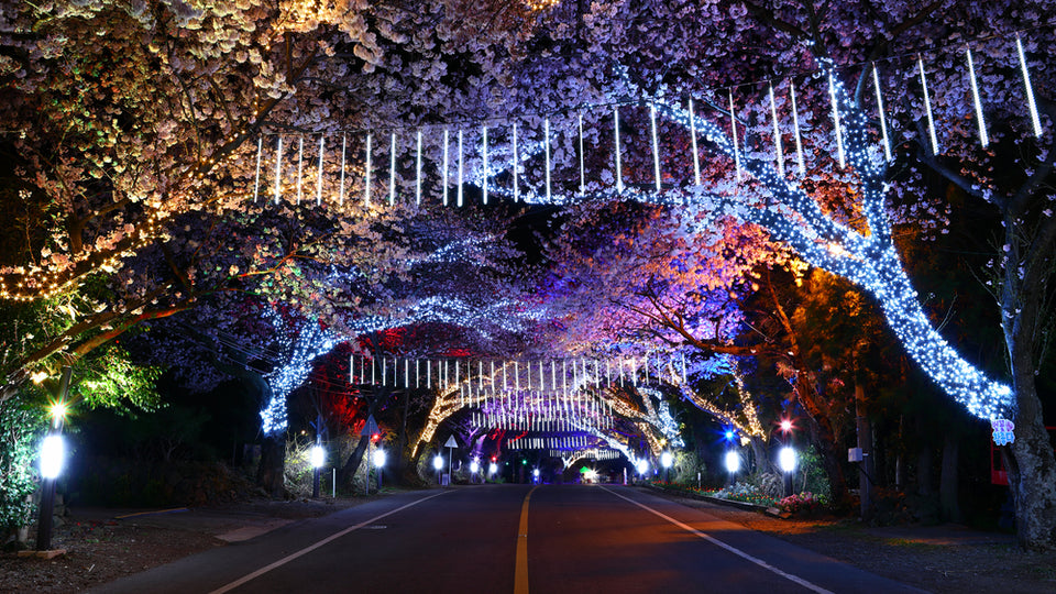 Winter Lighting Styles To Keep Your Home Warm - CharmyDecor