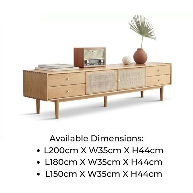 Minimalist Solid Wood and Rattan TV Stand – CharmyDecor