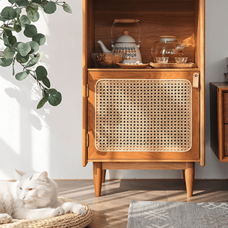 Elegant Nordic Rattan 2-Door Cabinet for Modern Living – CharmyDecor