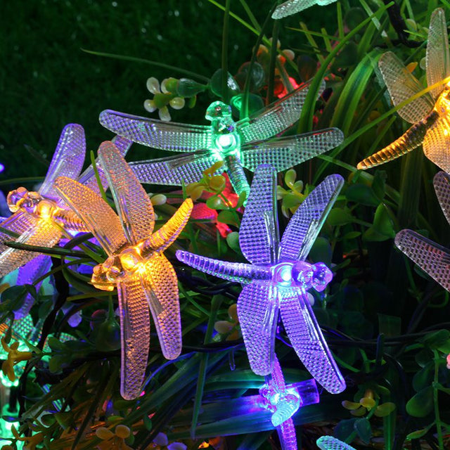 Plastic Firework LED Fairy String Lamp - CharmyDecor